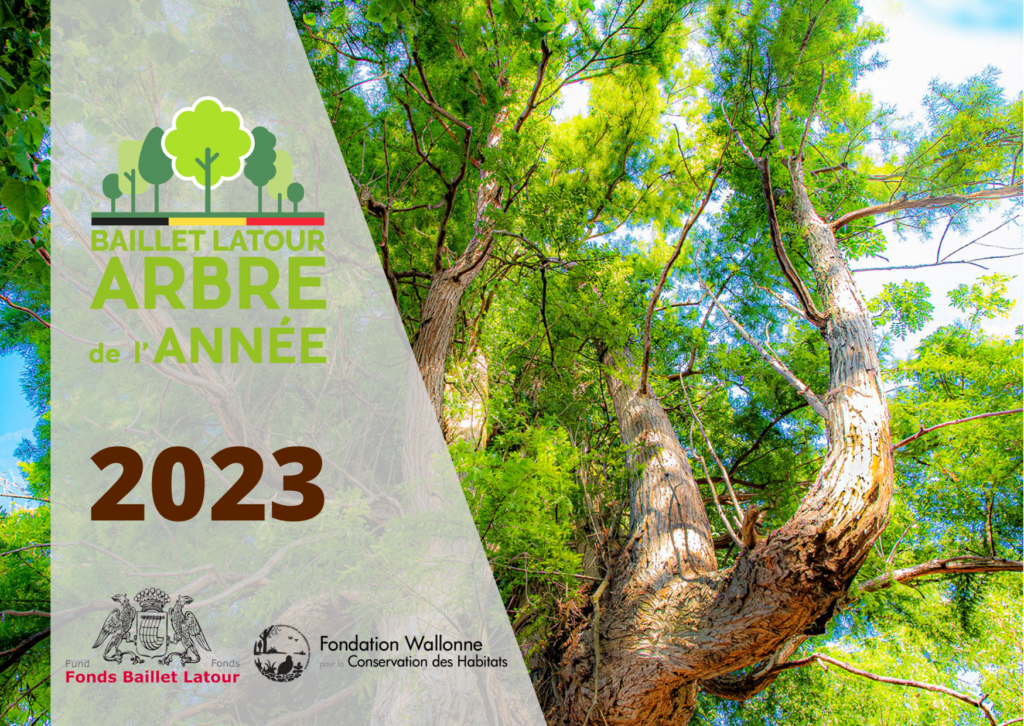 Belgian Tree of the Year - European Landowners' Organization